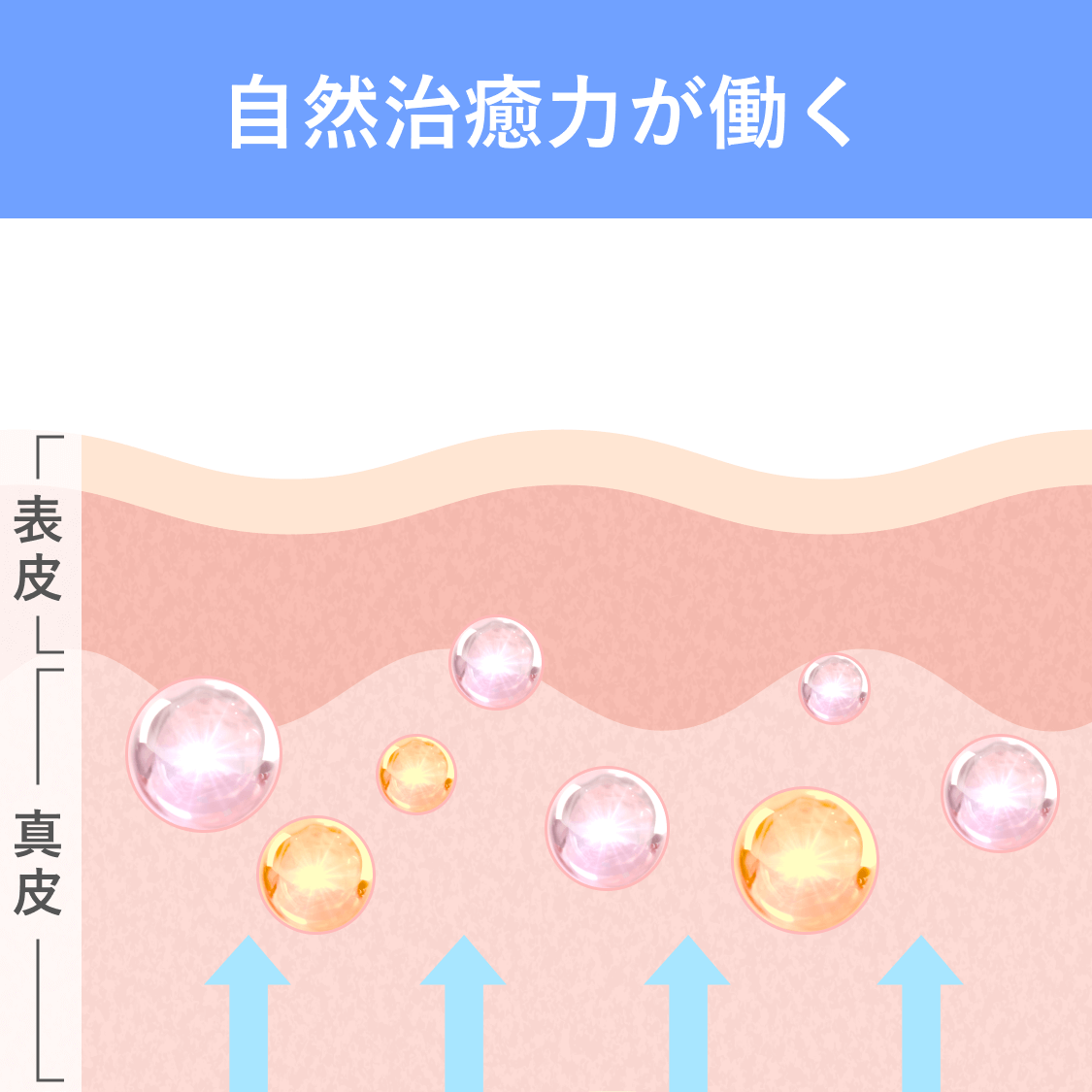 ニキビ跡・毛穴治療に効果的ダーマペン4（東京浜松町院） - 東京・大阪の美容皮膚科ならFLALU（フラルクリニック）